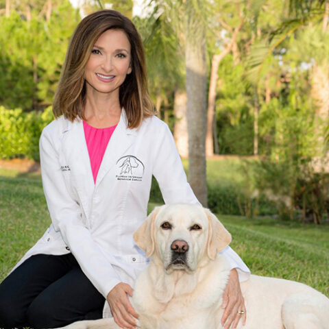 A Team of Veterinary Behavior Experts - Ease Pet Vet